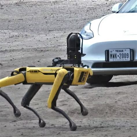 Deepfake Audio Detection Method Spots Fake Voices The Debrief