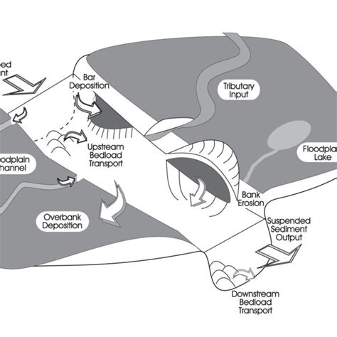 Processes Governing The Sediment Budget Of A Channel Flood Plain Reach