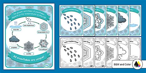 Life Cycle Of A Snowflake Posters Teacher Made Twinkl