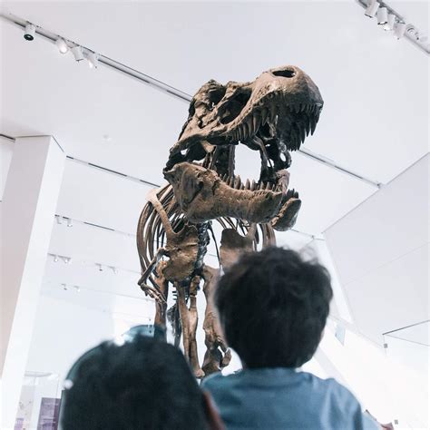 로열 온타리오 박물관 입장권 클룩 Klook 한국