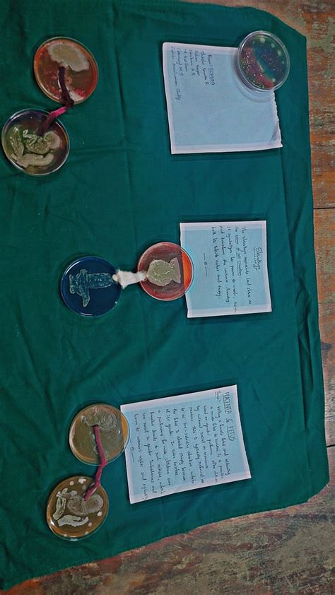 Shashi Gowda R On Linkedin Microbialart Scienceandart