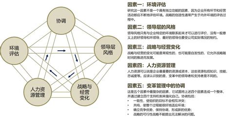 咨询工具与模型蓝皮书 知乎