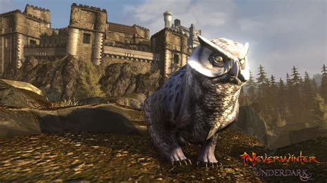 White Owlbear Official Neverwinter Wiki