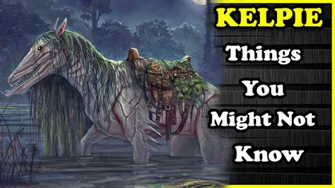 Discover The Mysteries Of The Kelpie Mythical Shape Shifting Water