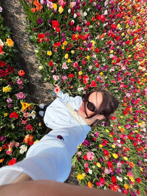 Flower Season Amsterdam At Muriel Simmons Blog