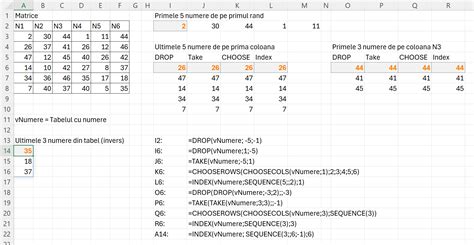 modele de algoritmi în excel caterpillar method 15 valy greavu live blog