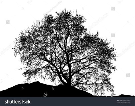 Realistic Tree Silhouette Vector Illustrationeps Stock Vector Royalty Free