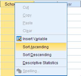 Data Creation In SPSS SPSS Tutorials LibGuides At Kent State University