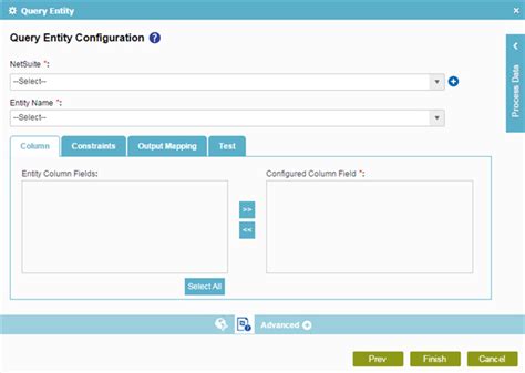 Query Entity Netsuite Activity
