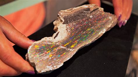 Royal Peacock Opal Mines Nevada Rockhounding