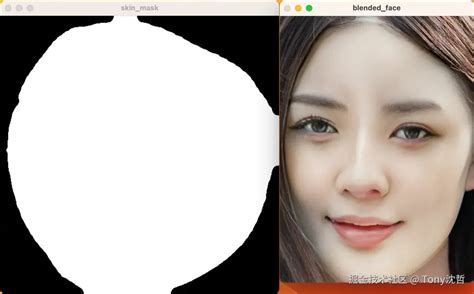 基于 Yolov8 Beautygan Codeformer Face Parsing 实现简单的人脸美颜的功能 掘金