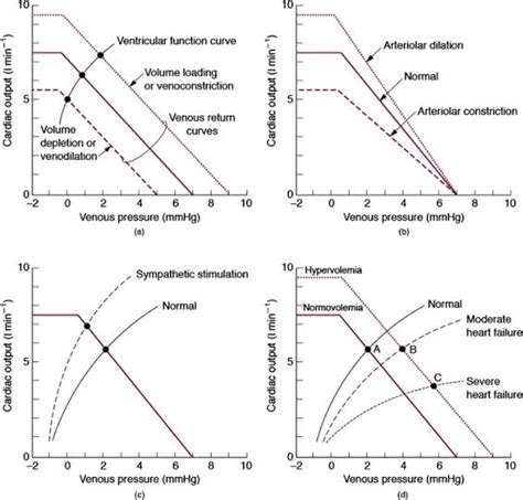 [solved] Figure 3 Displays Guytons Cardiac Output And Venous Return Curves Course Hero
