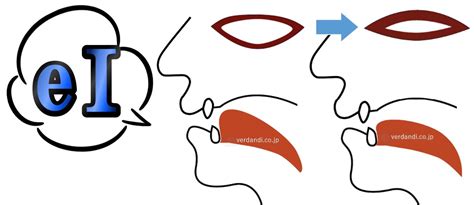 Indicatorの意味と発音記号をイラストで解説 アプリで発音練習できる！ 発音大学