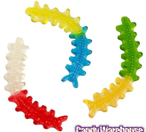Bug Shaped Candy Candy Warehouse