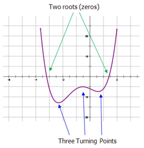 Quartic Function Examples