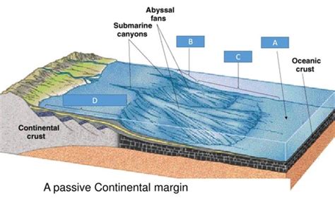 Oceanography Exam 1 Post Lecture Quizzes Flashcards Quizlet