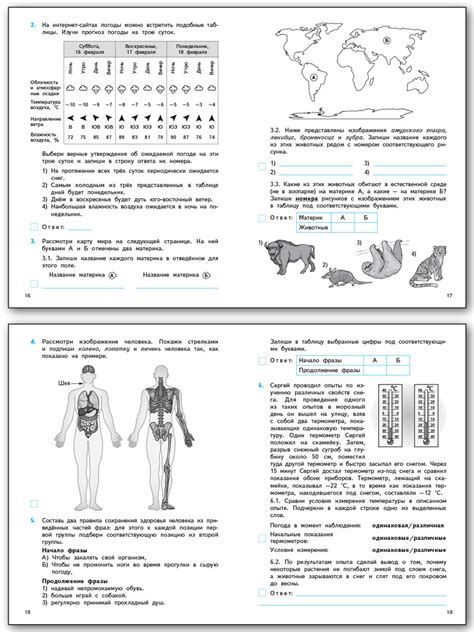 Всероссийская проверочная работа Окружающий мир 4 класс 7 вариантов купить онлайн Вако