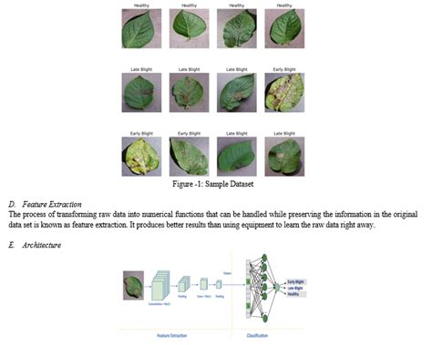Implementation Of Deep Learning For Image Based Potato Leaf Disease Detection