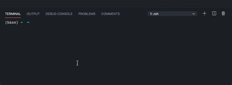 Hiding Views In Panel Keep Re Appearing On Reload · Issue 99688 · Microsoftvscode · Github