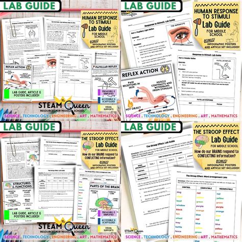 Nervous System Lab Bundle For Middle School Response To Stimuli