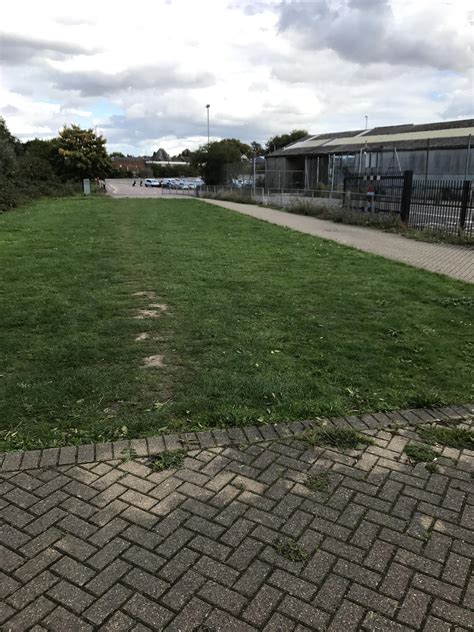 495 Best Fledgling Images On Pholder Birdpics Birding And Nature Is