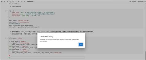 jupyter notebook运行多个推理样例后提示kernel restarting 样例运行 faq atlas 200i dk a2