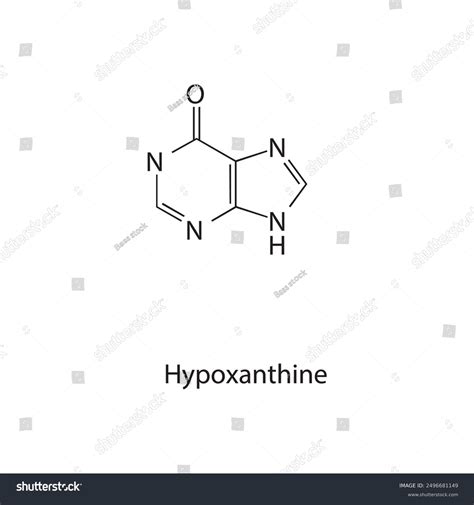 Hypoxanthine Skeletal Structure Schematic Illustration Nucleobase Stock Vector Royalty Free