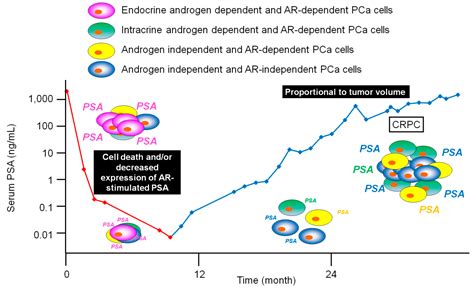 The Importance Of Time To Prostate Specific Antigen Psa Nadir After