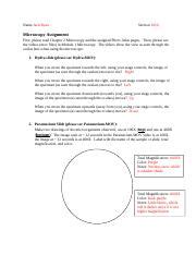Microscopy Assignment Doc Name Jack Ryan Section Microscopy Assignment First Please
