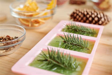 실리콘 몰드에 침엽수를 곁들인 수제 녹색 비누와 근처에 향기로운 성분이 있는 유리 제품 사진 Unsplash의 나무 이미지