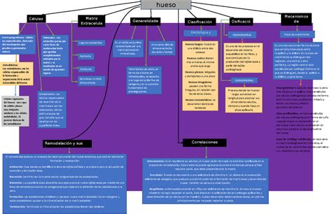 Mapa Conceptual Tejido Oseo Correlaciones Clínicas Osteomalacia Es