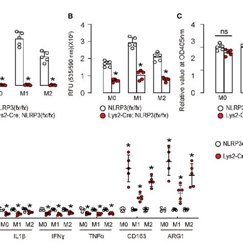 Nlrp3 Depletion In Macrophages Increases The Growth Invasion And