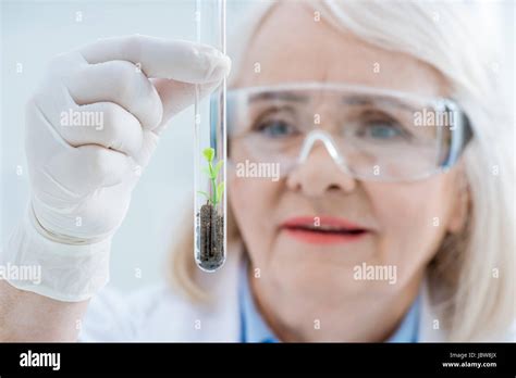Portrait Of Senior Woman Scientist Analyzing Plant In Glass Test Tube