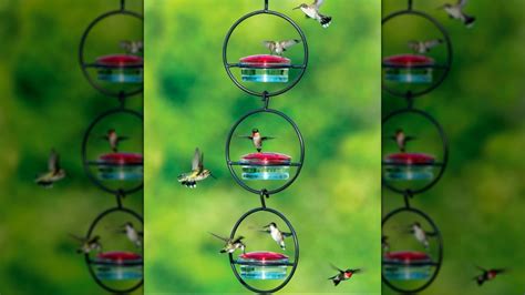 These Unique Hummingbird Feeders Add Some Serious Whimsy To Any Yard