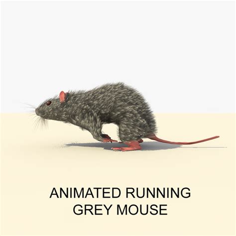 Grey Running Mouse Animations C4d