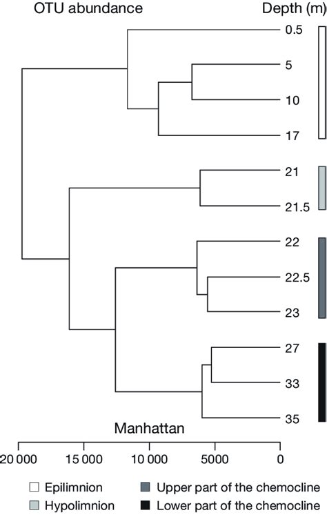 Hierarchical Cluster Analysis Of Microbial Communities Compositional Download Scientific