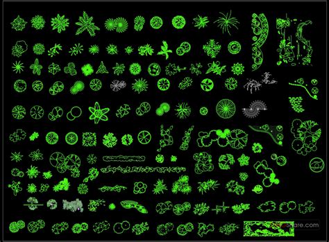32tree In Top View Autocad Blocks Free Download