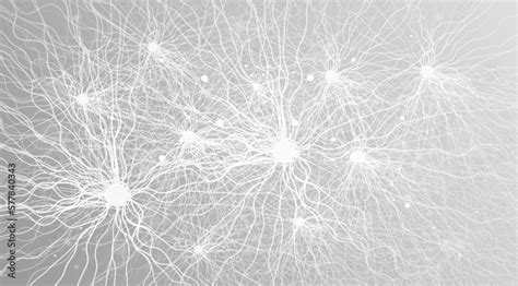 Neurons Forming Connection Research Of The Human Nerve Network Dna Molecules Scientific