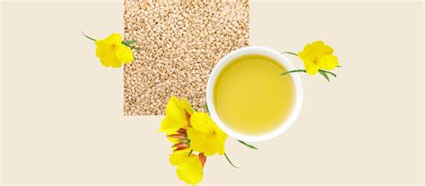 От рыжикового до горчичного какие еще масла можно купить в магазине в чем их польза — Журнал