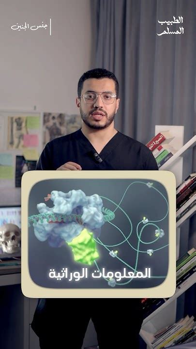 جنسالجنينتحديدجنسالمولودنوعالجنينالطبيبالمسلمطبيب Education