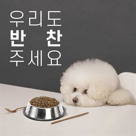 광고에 있는 여미 여미님의 핀 이메일 마케팅 디자인 웹디자인 식품 로고