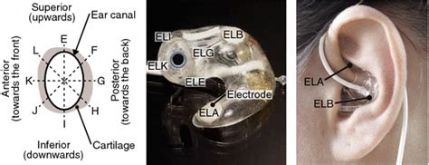 Ear Eeg Earpieces With Electrode Labels Left Ear Eeg Labeling Download Scientific Diagram