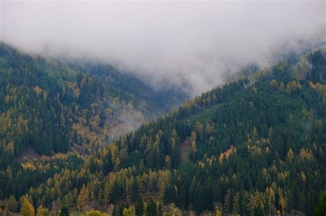안개 풍경에서 가을 산입니다 안개에 녹색과 노란색 나무 패턴입니다 산 자연 배경입니다 가을에 대한 스톡 사진 및 기타 이미지 가을 감정 경관 Istock