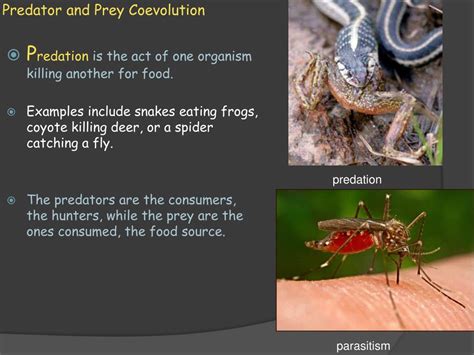 Ppt Biology 171 Biological Communities Powerpoint Presentation