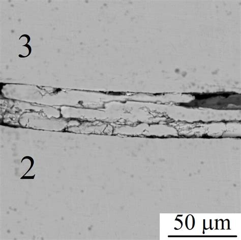 A Gap Like Defect Between Sheets 2 And 3 Filled With Deformed Wear Download Scientific Diagram