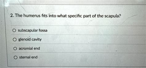 2 The Humerus Fits Into What Specific Part Of The Scapula Subscapular Fossa Glenoid Cavity