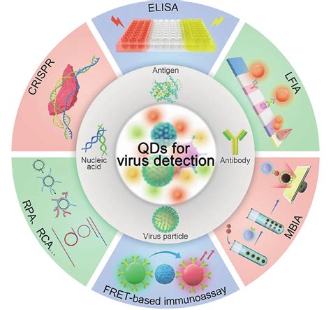 Meaning Of Virus Detection At Linda Redmon Blog