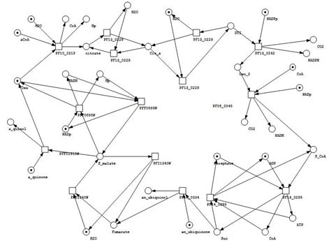 The Petri Net Model Before Firing Download Scientific Diagram