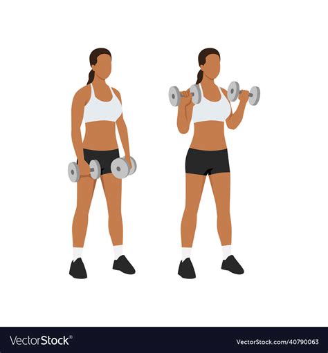 Woman Doing Dumbbell Bicep Reverse Curls Exercise Vector Image