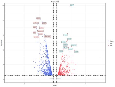 R语言绘制火山图：解析与实践 Csdn博客